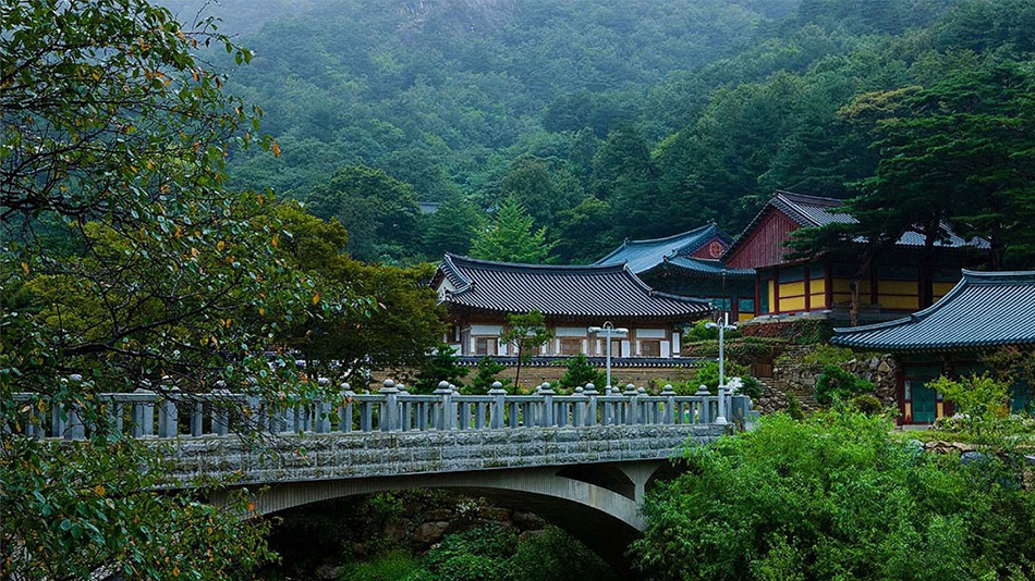 Zen Retreat – Korea’s Temple & Mountain Stay - Trip Connoisseurs