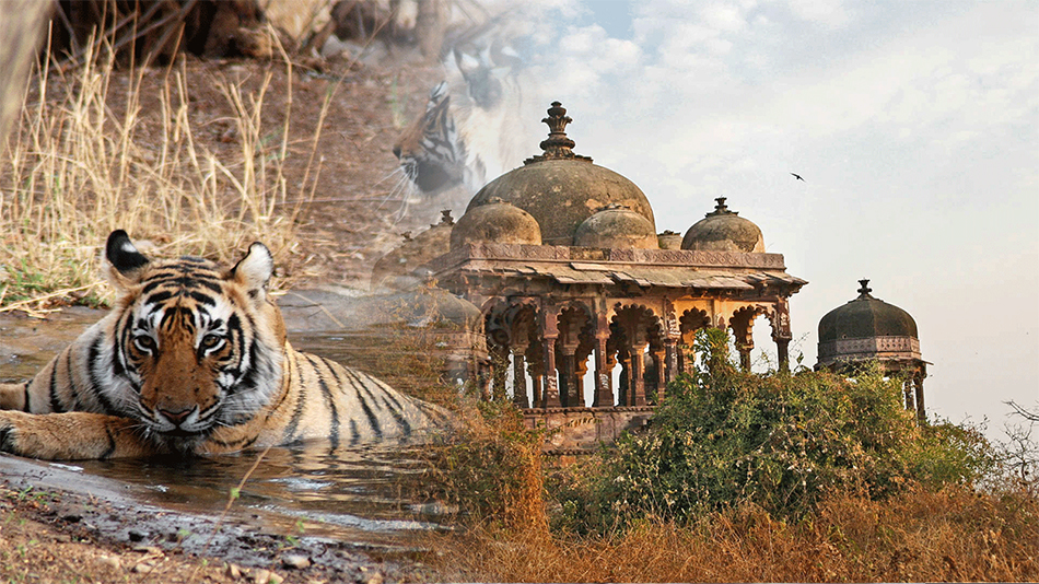 Iconic India – 17 days - Trip Connoisseurs
